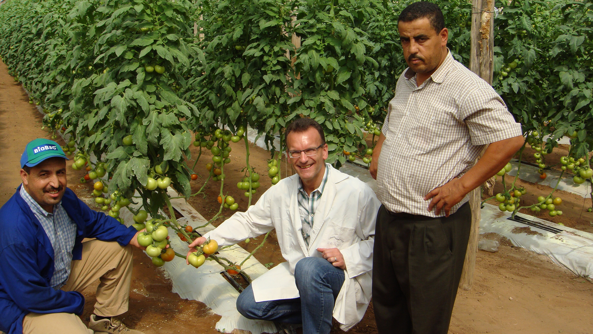 PPO für Sie vor Ort! - PPO Services AG